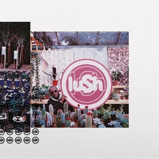 LUSH - LOVELIFE (2023 REMASTER) Vinyl – Saint Marie Records